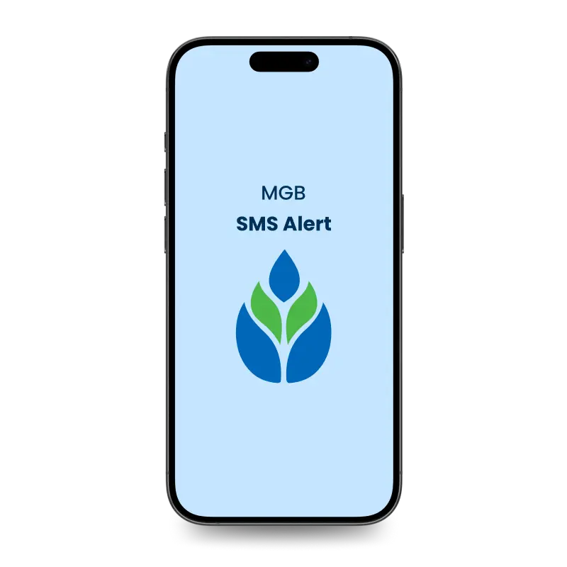 Mobile Banking